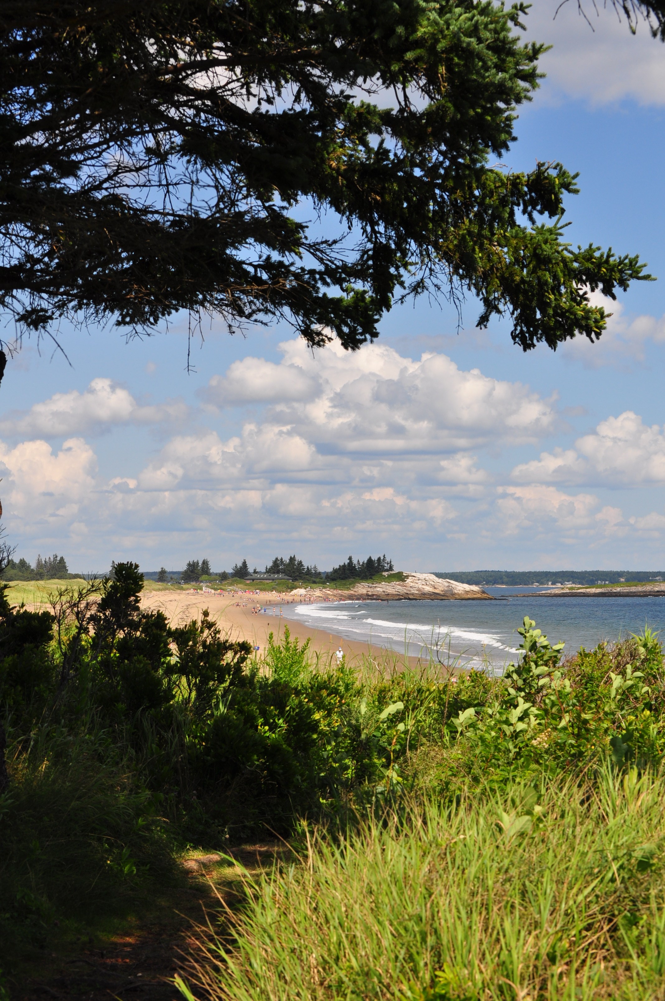 Locations Hub - Reid State Park